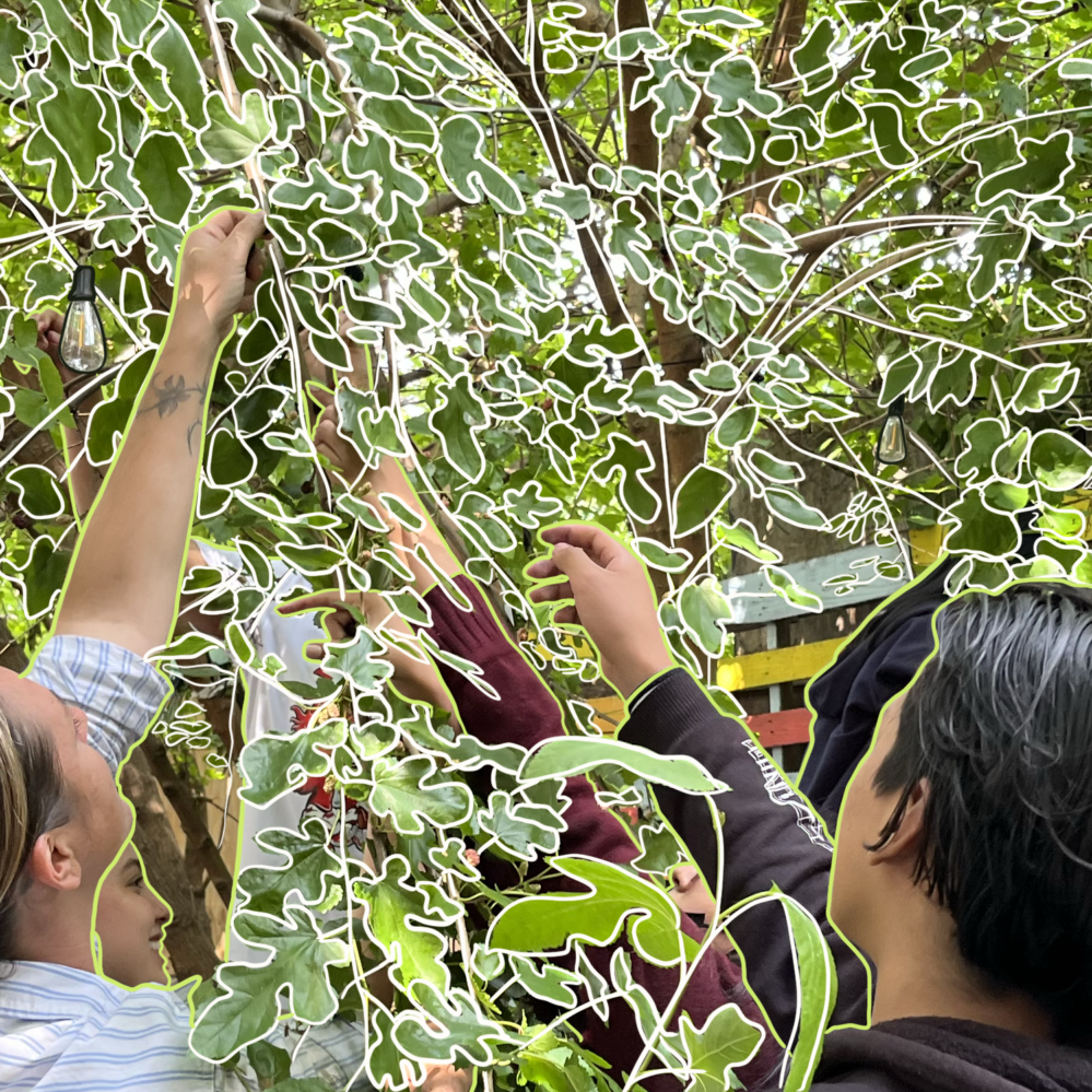 How to Advance Statewide Climate Change Education – Next100